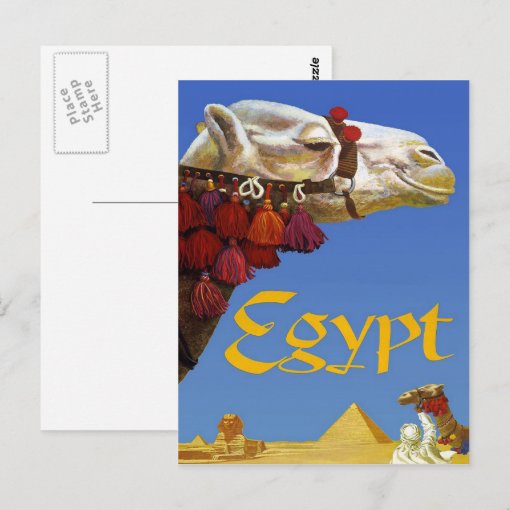 Egypt Postcard | Zazzle