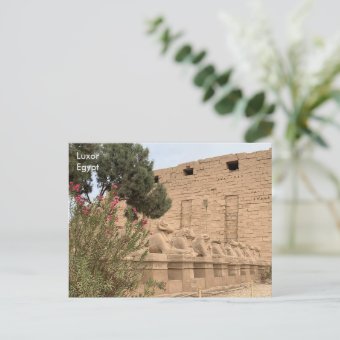 Egypt, Temple of Karnak, Luxor. Postcard | Zazzle