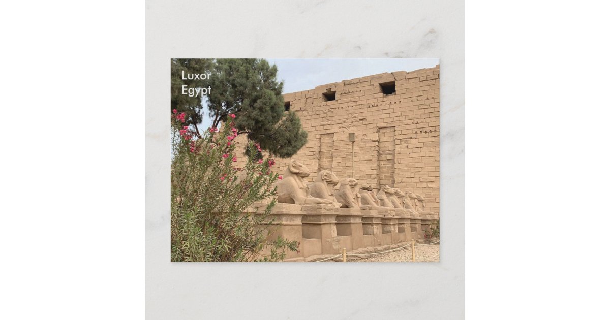 Egypt, Temple of Karnak, Luxor. Postcard | Zazzle