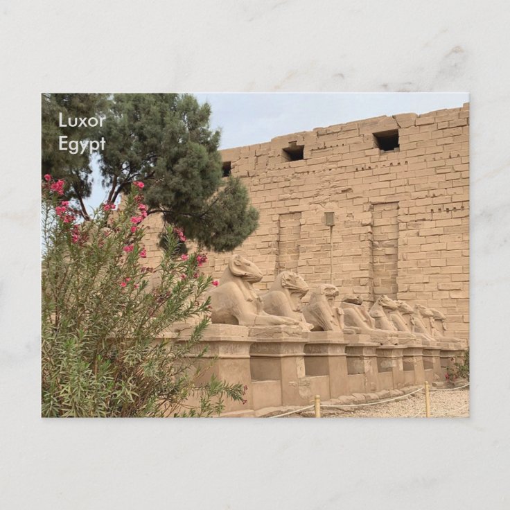 Egypt, Temple of Karnak, Luxor. Postcard | Zazzle