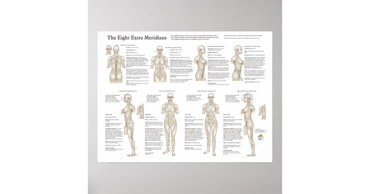 Eight Extraordinary Acupuncture Meridians Poster | Zazzle