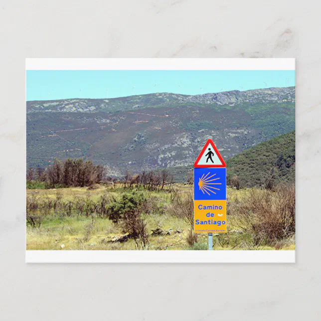 El Camino de Santiago de Compostela sign, Spain Postcard | Zazzle