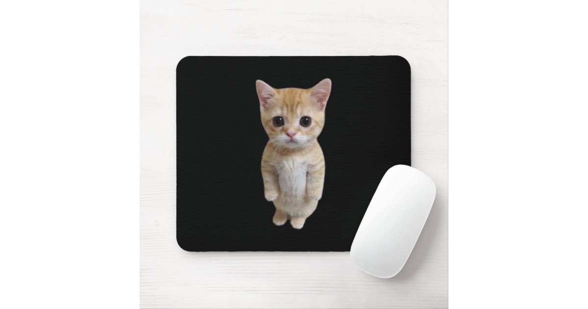 El Gato Cat Meme Mouse Pad | Zazzle