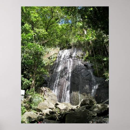 El Yunque Puerto Rico Framed Photo Poster | Zazzle.com