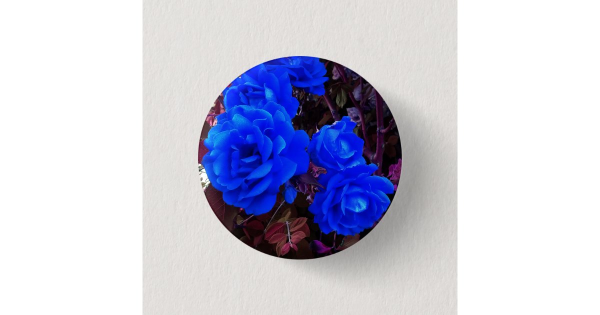 Electric blue Roses Button | Zazzle