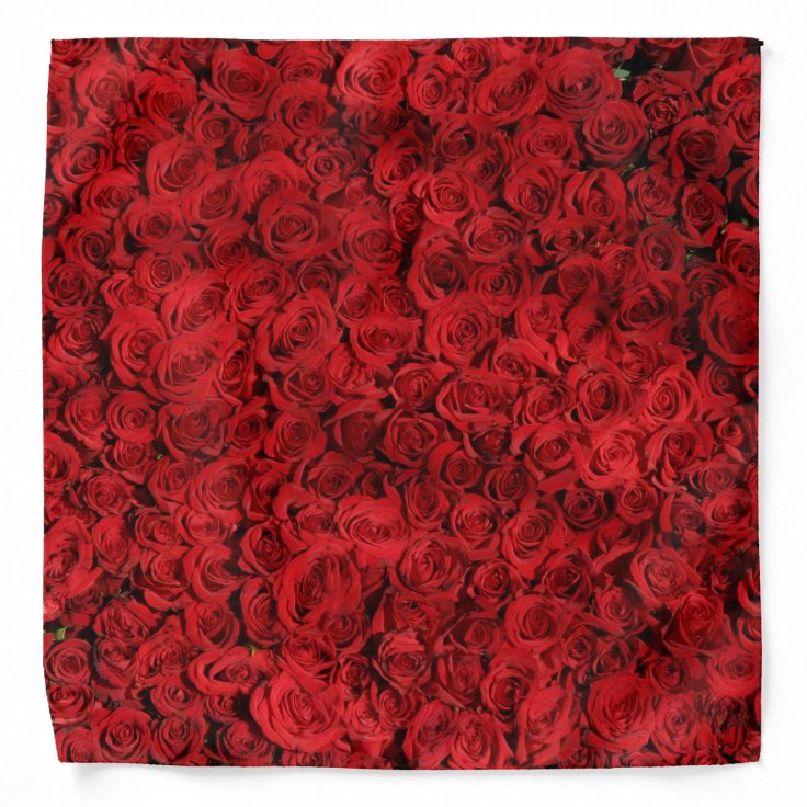 elegant beautiful stylish red roses photograph bandana | Zazzle