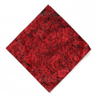 elegant beautiful stylish red roses photograph bandana | Zazzle