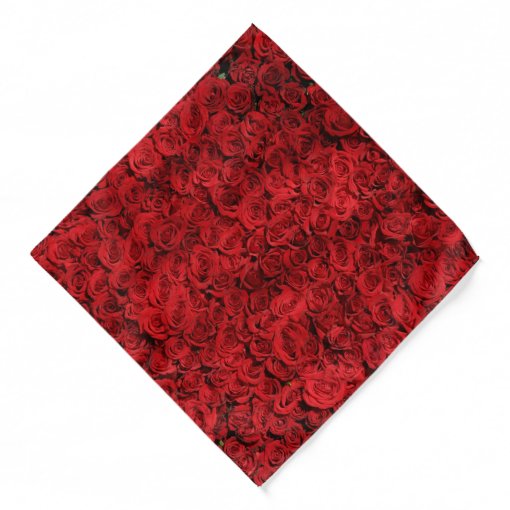 elegant beautiful stylish red roses photograph bandana | Zazzle