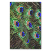 Elegant Bird Turquoise Green Peacock Feathers Tissue Paper | Zazzle