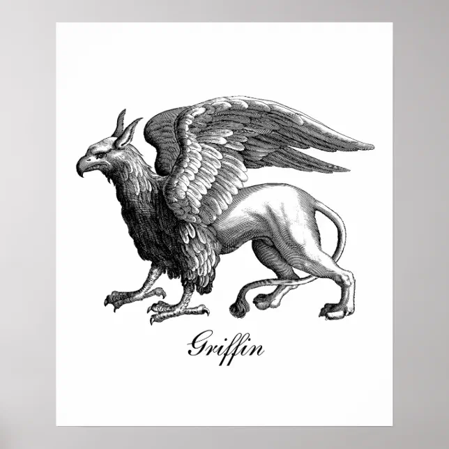 Elegant Black and White Griffin -Legendary Beast Poster | Zazzle