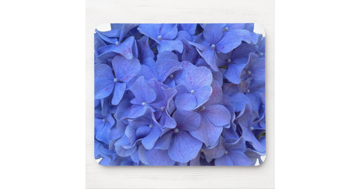 Elegant Blue periwinkle floral hydrangeas Mouse Pad | Zazzle