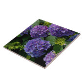 Elegant blue purple magenta green floral hydrangea ceramic tile | Zazzle