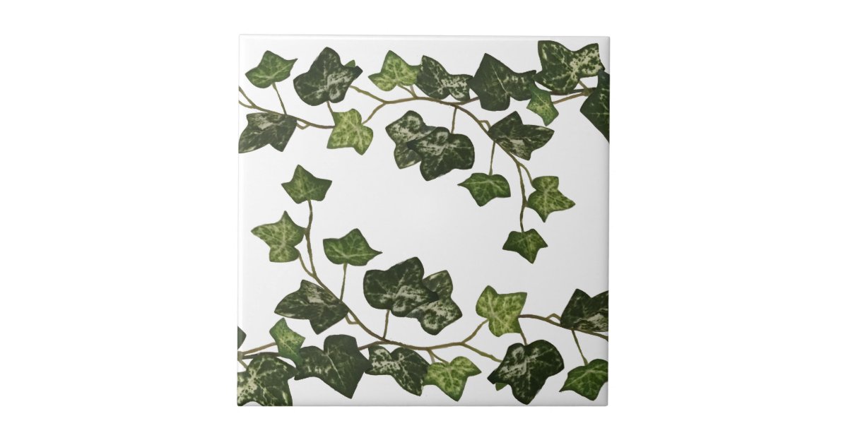 Elegant Botanical Ivy Ceramic Tile | Zazzle