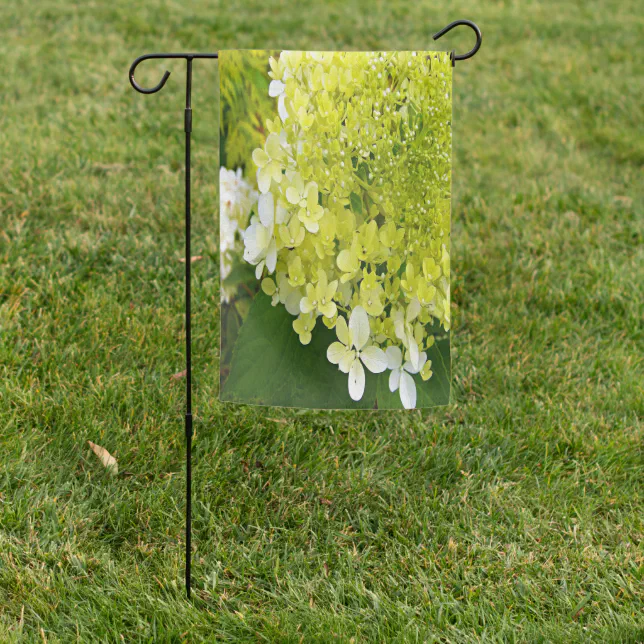 Elegant Chartreuse Green Limelight Hydrangea Garden Flag | Zazzle