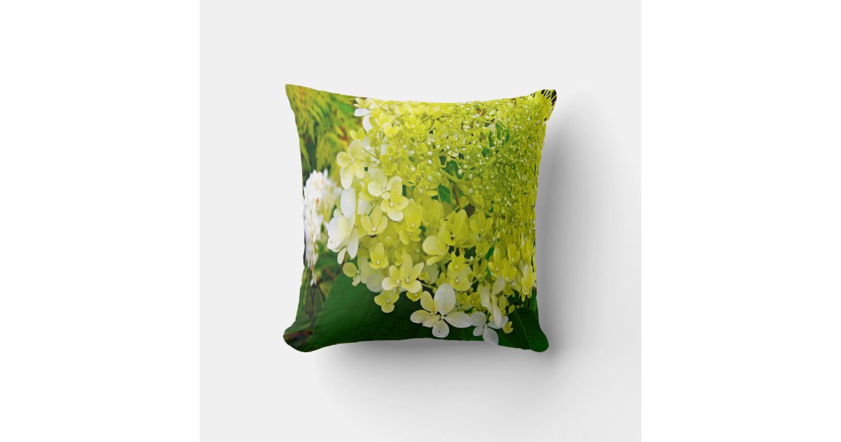 Elegant Chartreuse Green Limelight Hydrangea Throw Pillow | Zazzle