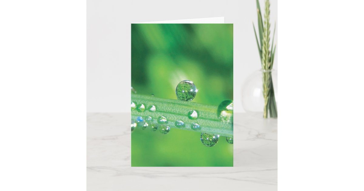 Elegant Dew Drop Note Card With Poem | Zazzle