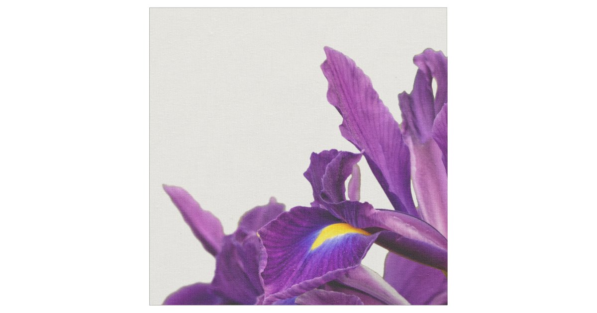 Elegant Dutch Iris Purple Sensation Fabric | Zazzle Elegant Dutch Iris Purple Sensation Fabric | Zazzle