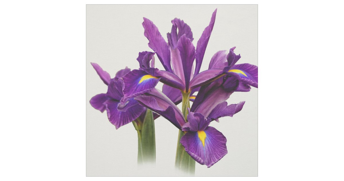 Elegant Dutch Iris Purple Sensation Fabric | Zazzle Elegant Dutch Iris Purple Sensation Fabric | Zazzle