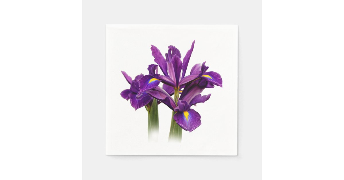 Elegant Dutch Iris Purple Sensation Napkins | Zazzle Elegant Dutch Iris Purple Sensation Napkins | Zazzle