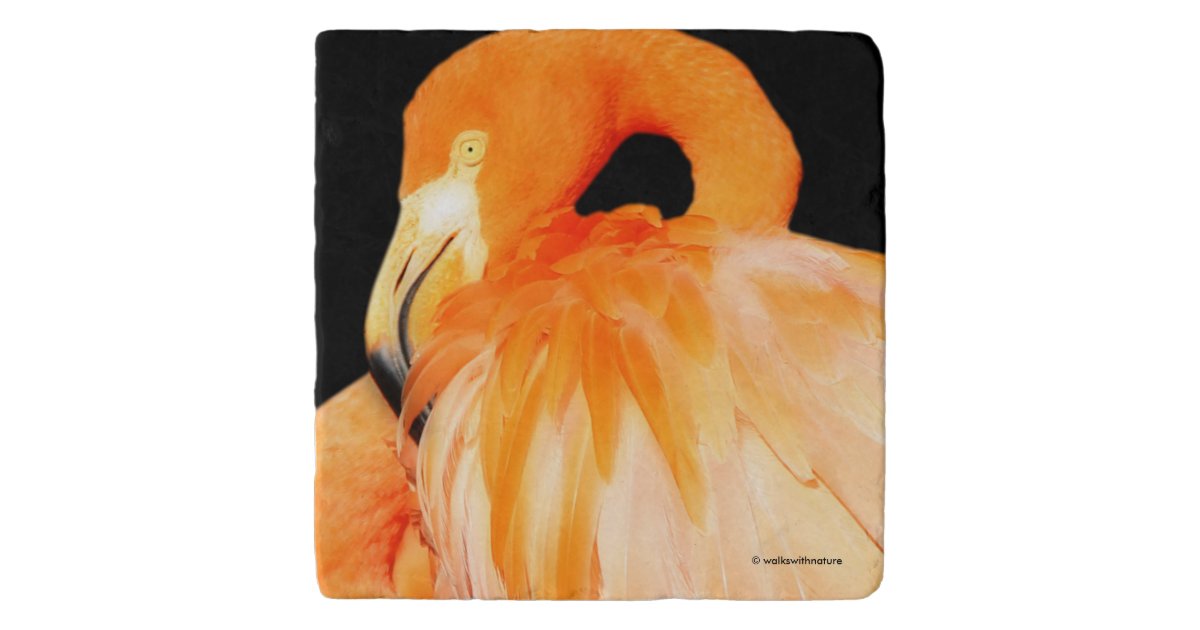 Elegant Flamingo in the Summer Sun Trivet | Zazzle