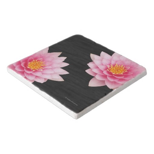Elegant Floating Pink Lotus Flowers Trivet | Zazzle