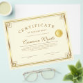 Elegant Gold Border Certificate Achievement Award Flyer | Zazzle