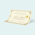 Elegant Gold Border Certificate Achievement Award Flyer | Zazzle