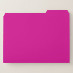 Elegant Hot Pink White Gold Name File Folder | Zazzle
