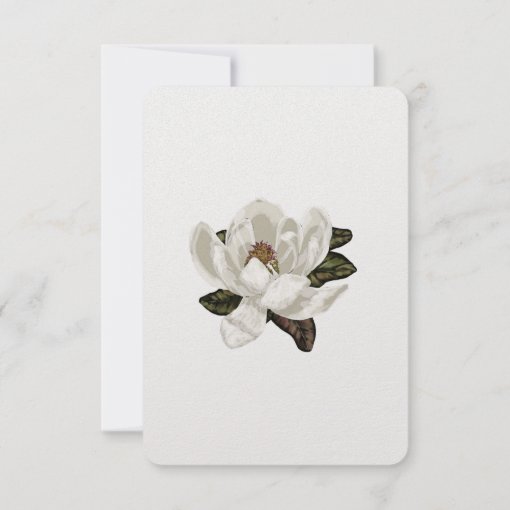 Elegant Magnolia blossoms Card | Zazzle