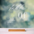 Elegant Minimal Guest Names Seating Table Number Acrylic Sign | Zazzle