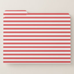 Elegant, Minimal Red Striped File Folder | Zazzle