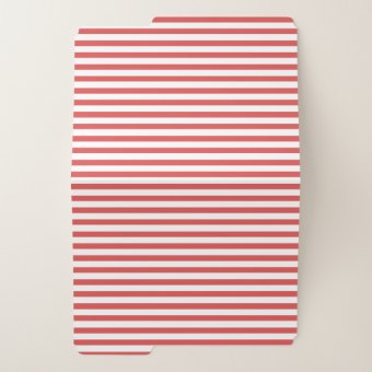 Elegant, Minimal Red Striped File Folder | Zazzle