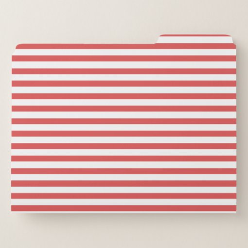 Elegant, Minimal Red Striped File Folder | Zazzle