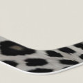 Elegant Modern Luxury White Leopard Collection License Plate Frame | Zazzle