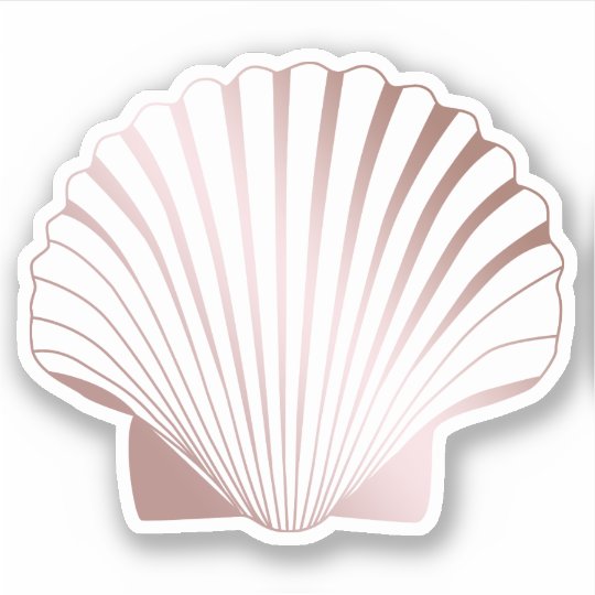 Elegant modern pretty rose gold seashell sticker | Zazzle.com