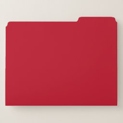 Elegant Modern Red, Gold Glitter Frame, Stripe File Folder | Zazzle