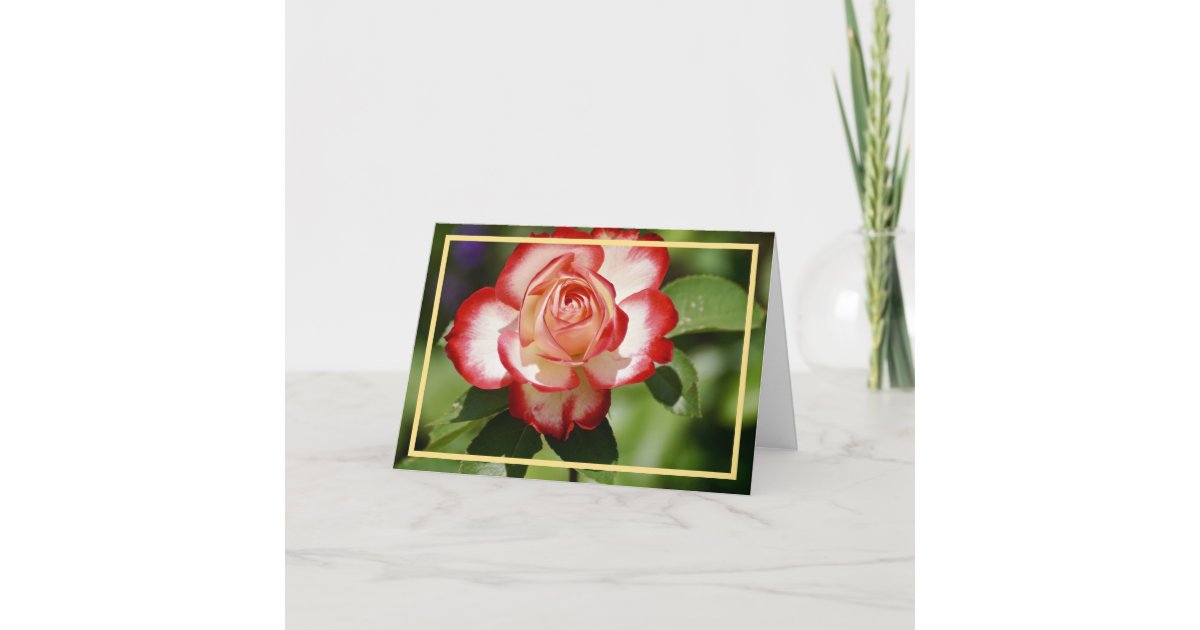 Elegant Modern Red White Rose Flower Golden Frame Card | Zazzle