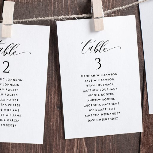 Elegant Modern Seating Plan Cards with Guest Names | Zazzle