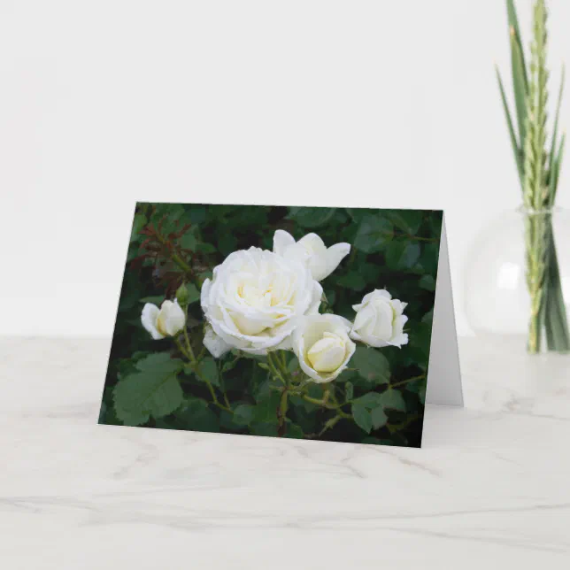 Elegant Modern White Roses Flowers Photo Sympathy Card | Zazzle