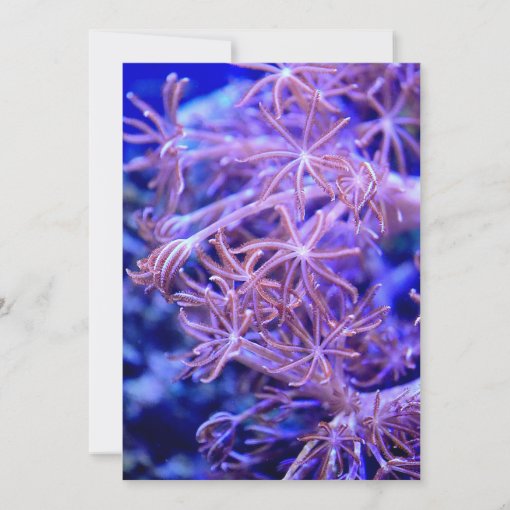 Elegant Navy Coral Reefs Nautical Coastal Wedding Invitation | Zazzle