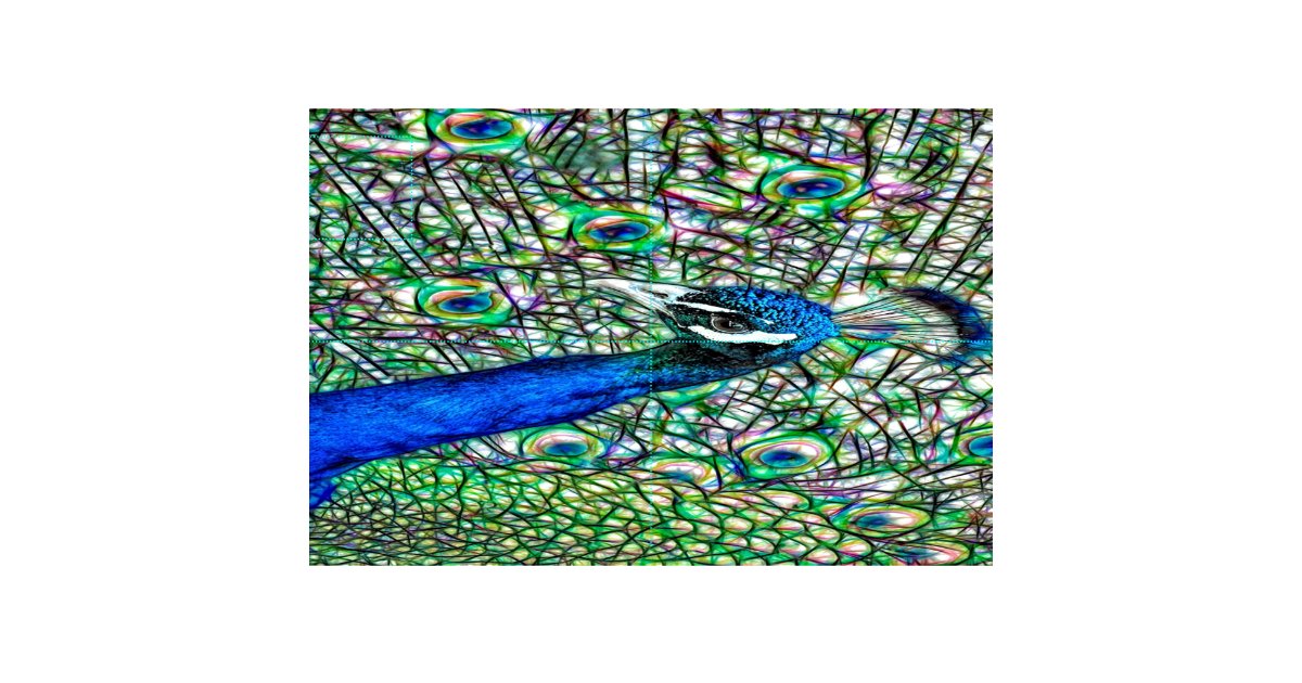 Elegant Peacock Print Fabric | Zazzle