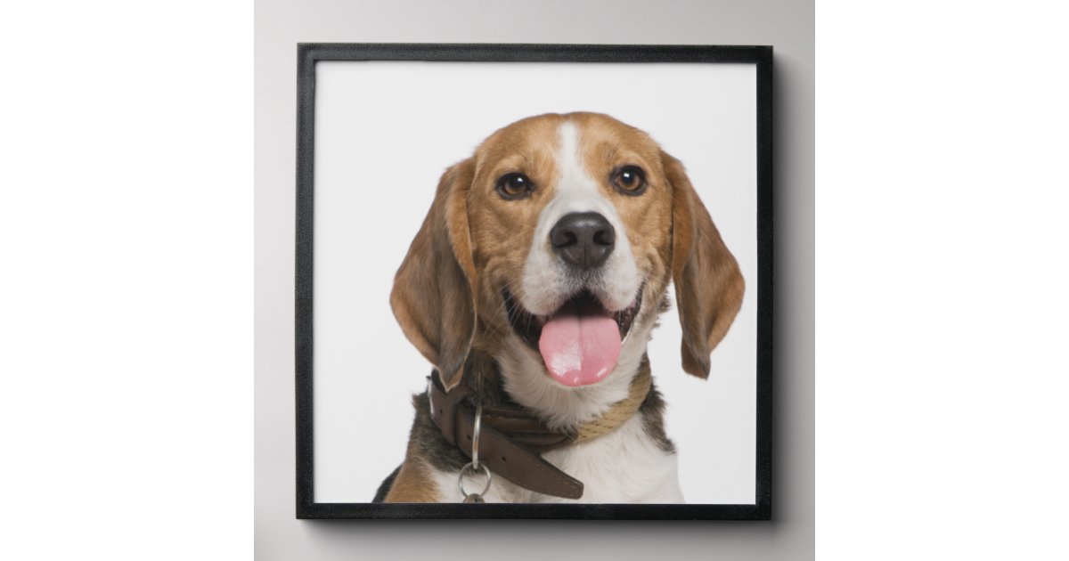 ELegant Pet Dog Photo Custom Peel And Stick Photo Tile | Zazzle