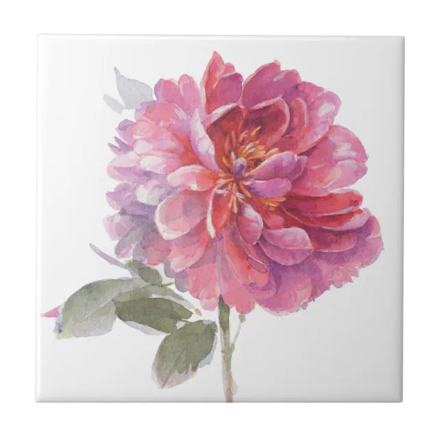 Elegant Pink Botanical Watercolor Ceramic Tile | Zazzle