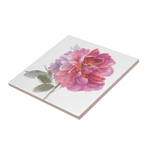 Elegant Pink Botanical Watercolor Ceramic Tile | Zazzle