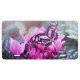 Elegant Pink Flower Pink Butterfly License Plate | Zazzle