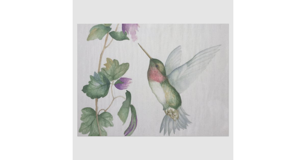 Elegant Pink Hummingbird Watercolor Tissue Paper | Zazzle