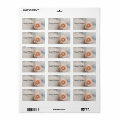 Elegant Pink Rose Dew Drops Return Address Labels | Zazzle