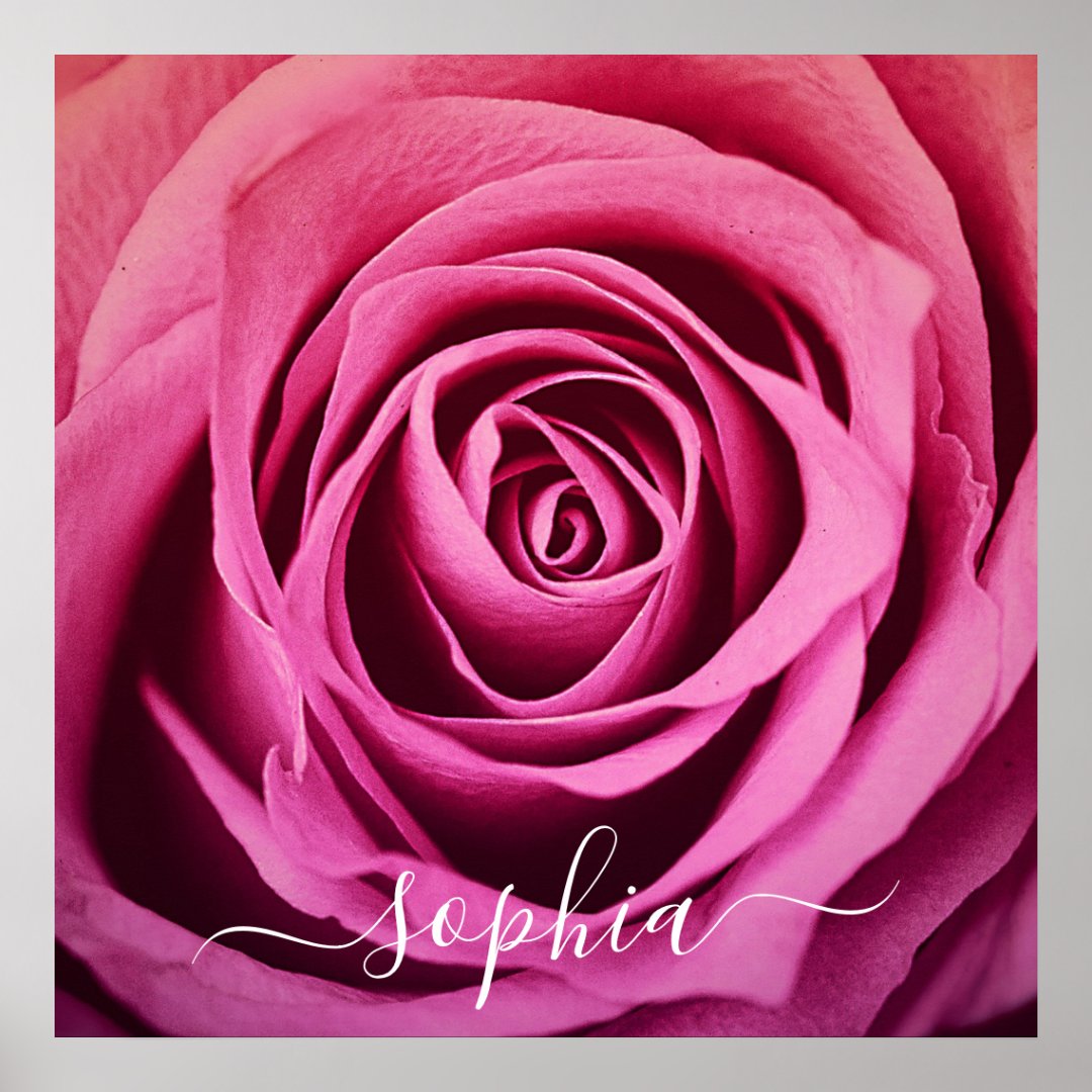 Elegant Pink Rose Flower Photo Add Name Poster | Zazzle
