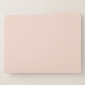 Elegant pretty rose gold glitter & blush pink file folder | Zazzle
