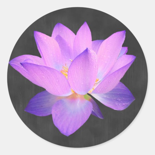 Elegant Purple Lotus Sticker | Zazzle.com